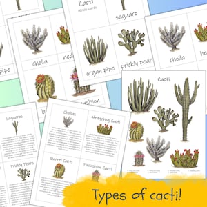 Cactus Unit: Nature Curriculum, Homeschool Science, Nature Study ...