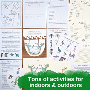 Pond Ecology Unit: Printable Ecosystem Learning Materials (PDF) - Etsy