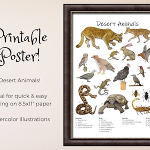 Sonoran Desert Animal & Plant Watercolor Poster Set (PDF Download) - Etsy