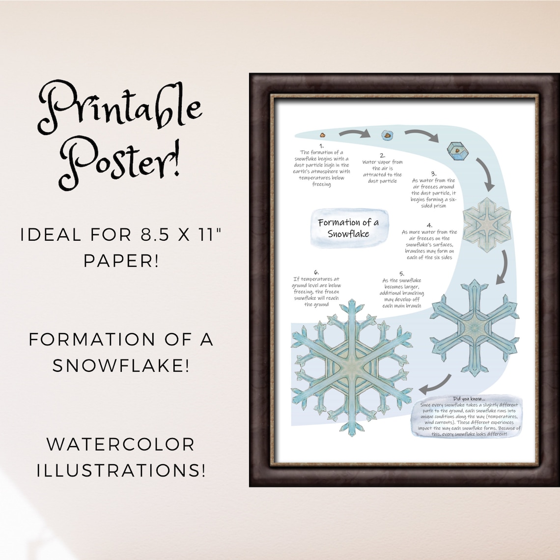 Snowflake Formation Poster: How Snowflakes Form, Science Poster ...