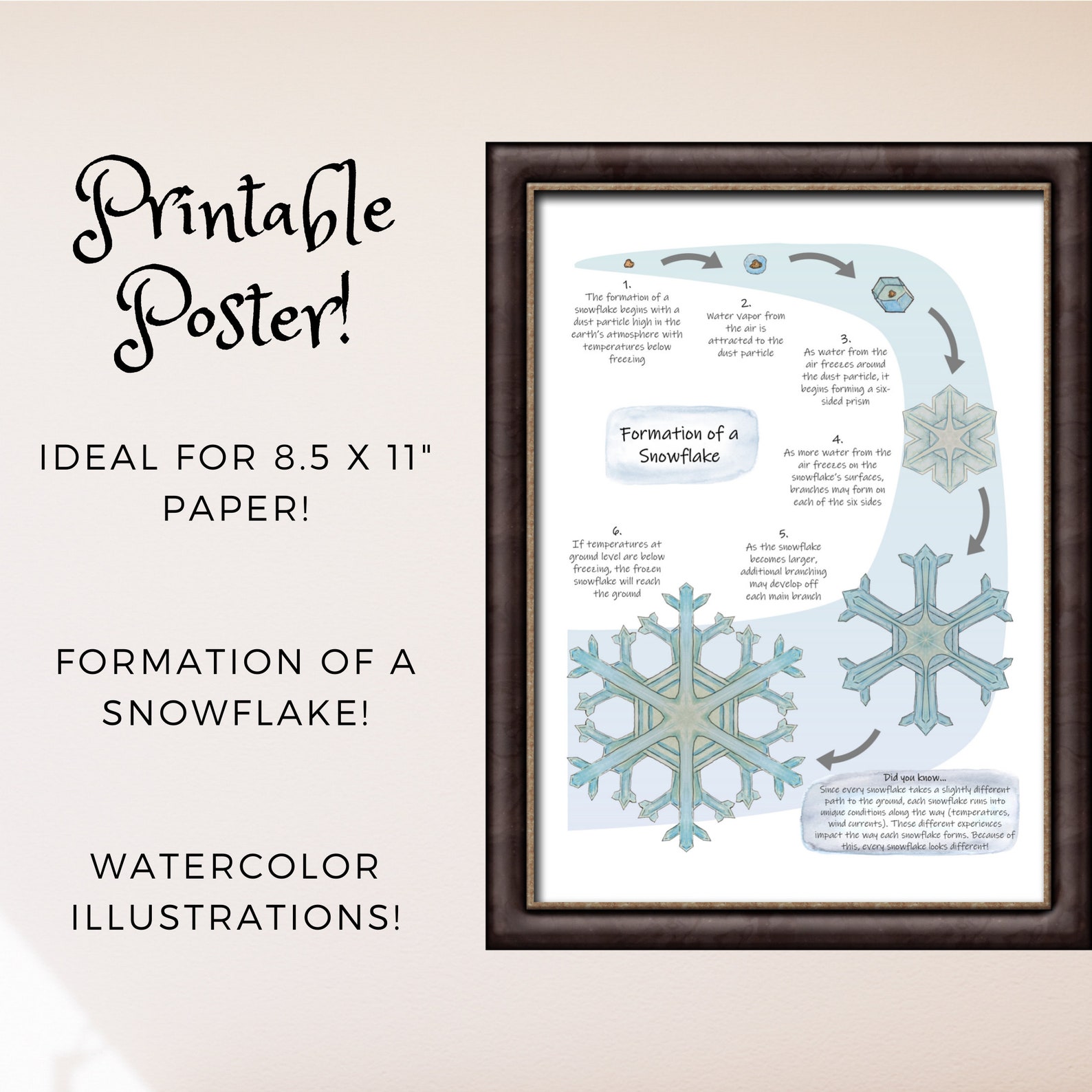 Snowflake Formation Poster: How Snowflakes Form, Science Poster ...