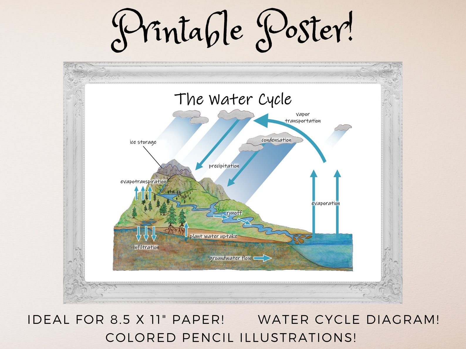 The Water Cycle Diagram: Printable Classroom Poster, Earth Science ...