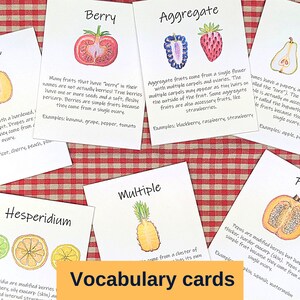 Fun With Fruit Unit: a Botany Lesson Plan Plant Science, Nature Study ...