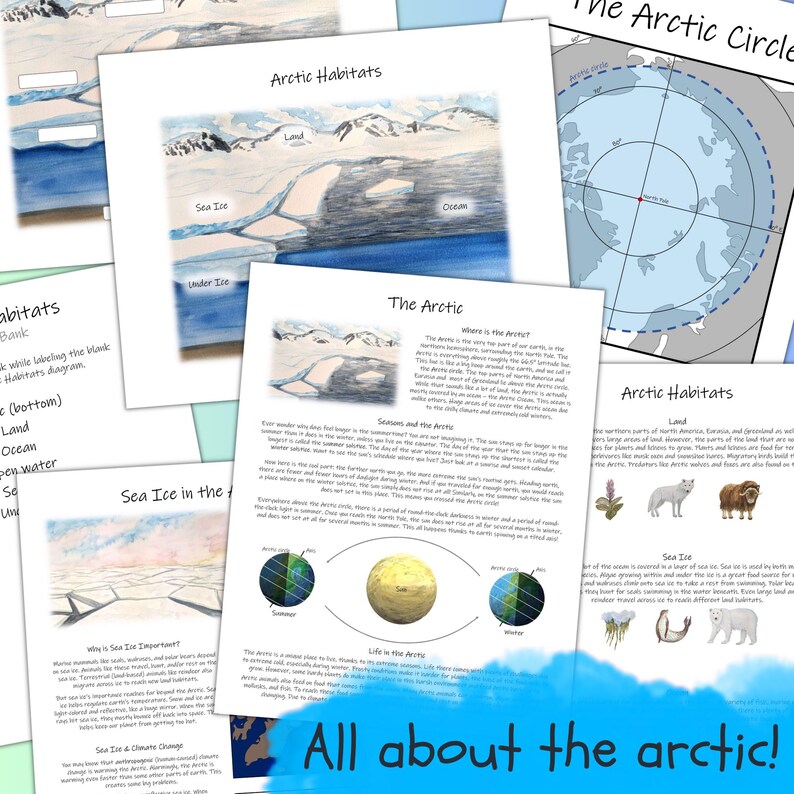 Arctic & Antarctica Polar Science Unit Bundle: Homeschool Printable ...