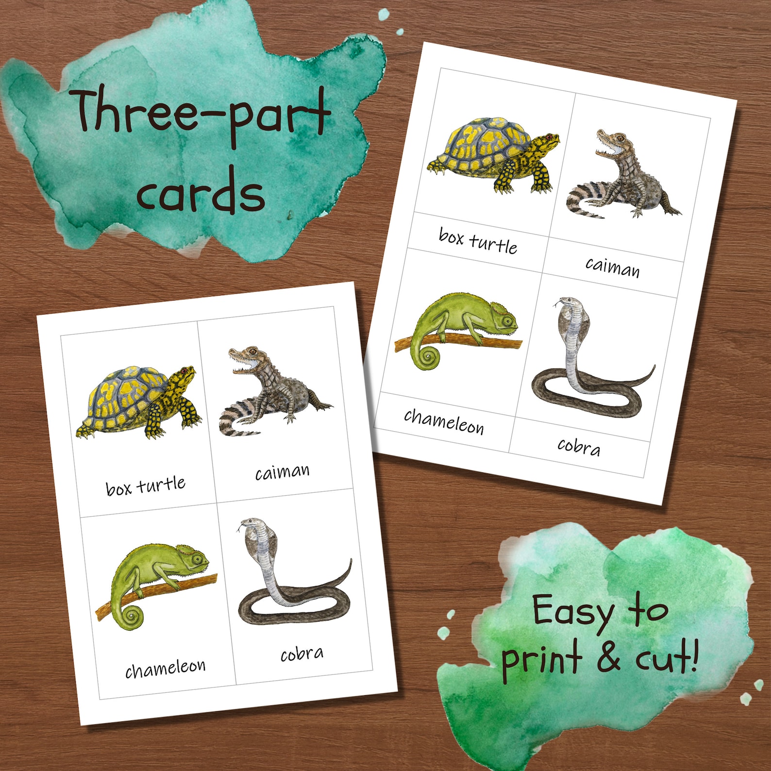 Reptile Three-part Cards: Nomenclature Flashcards, Homeschool Preschool ...