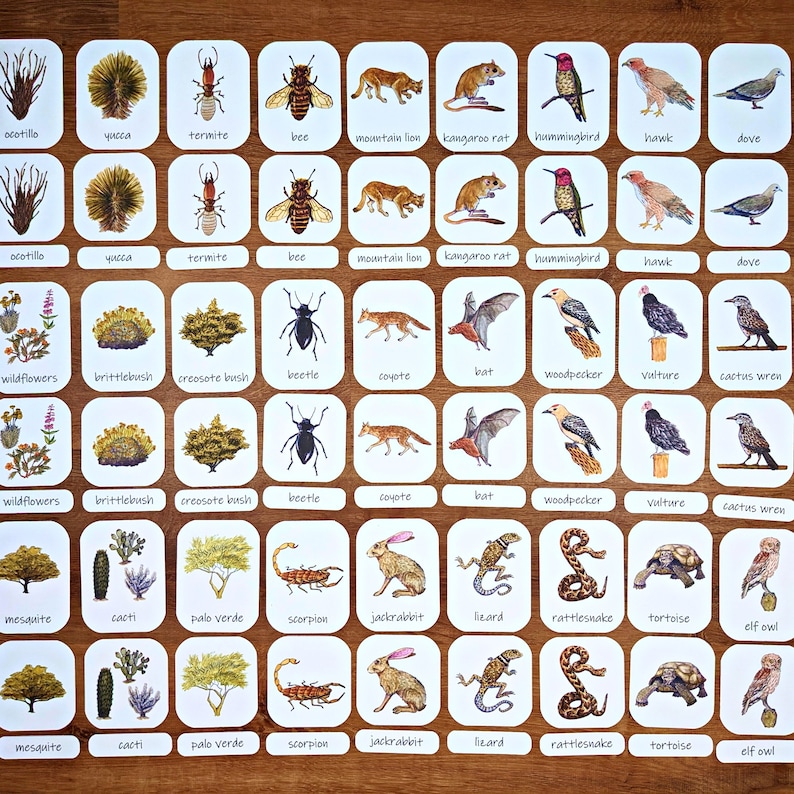 Desert Animals & Plants Three-part Cards: Montessori-style Flashcards ...