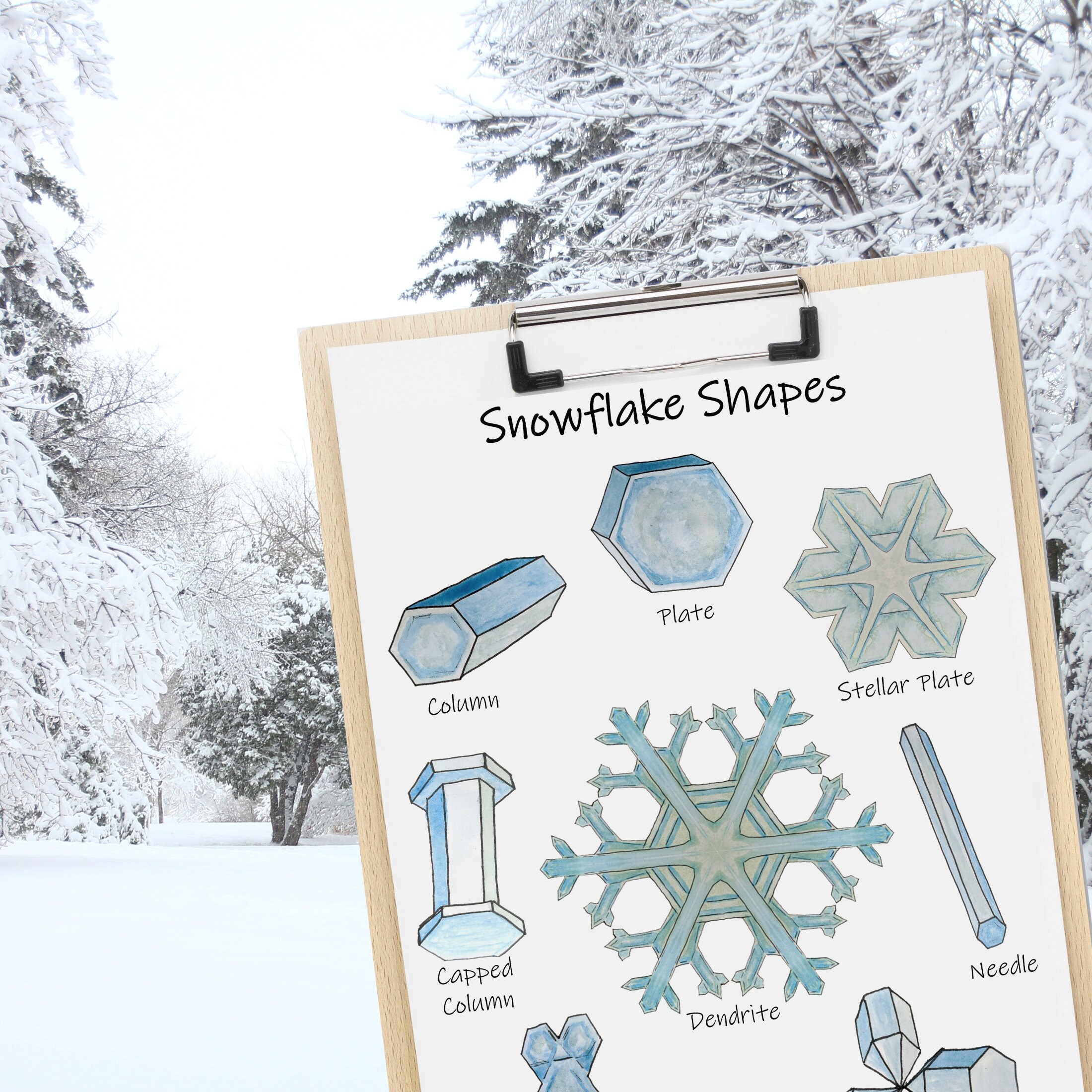 Snowflake Types Poster: Winter Classroom Decor, Homeschool Print (PDF ...
