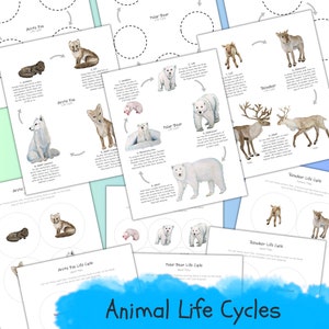 Arctic Unit: Homeschool Science, Animals, Food Web (PDF Download) - Etsy