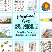 Tree Anatomy Mini Study: With Printable Classroom Posters, Parts of a ...