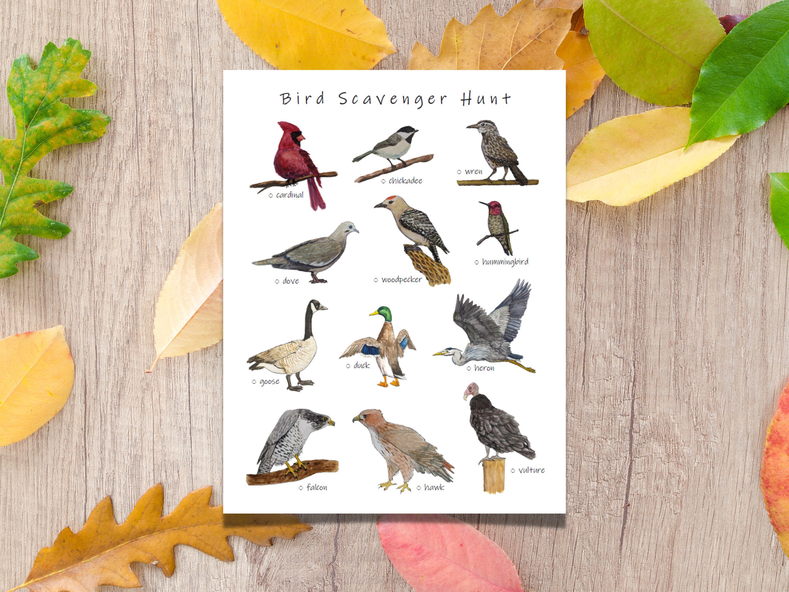Bird Scavenger Hunt: Bird Watching for Kids, Afterschool Activity, Camp ...