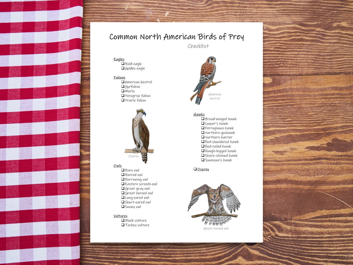 Common Raptors Checklist: North American Birds of Prey List - Etsy