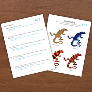 Camouflage Lab: Reptile Camouflage & Coloration Study (PDF) - Etsy