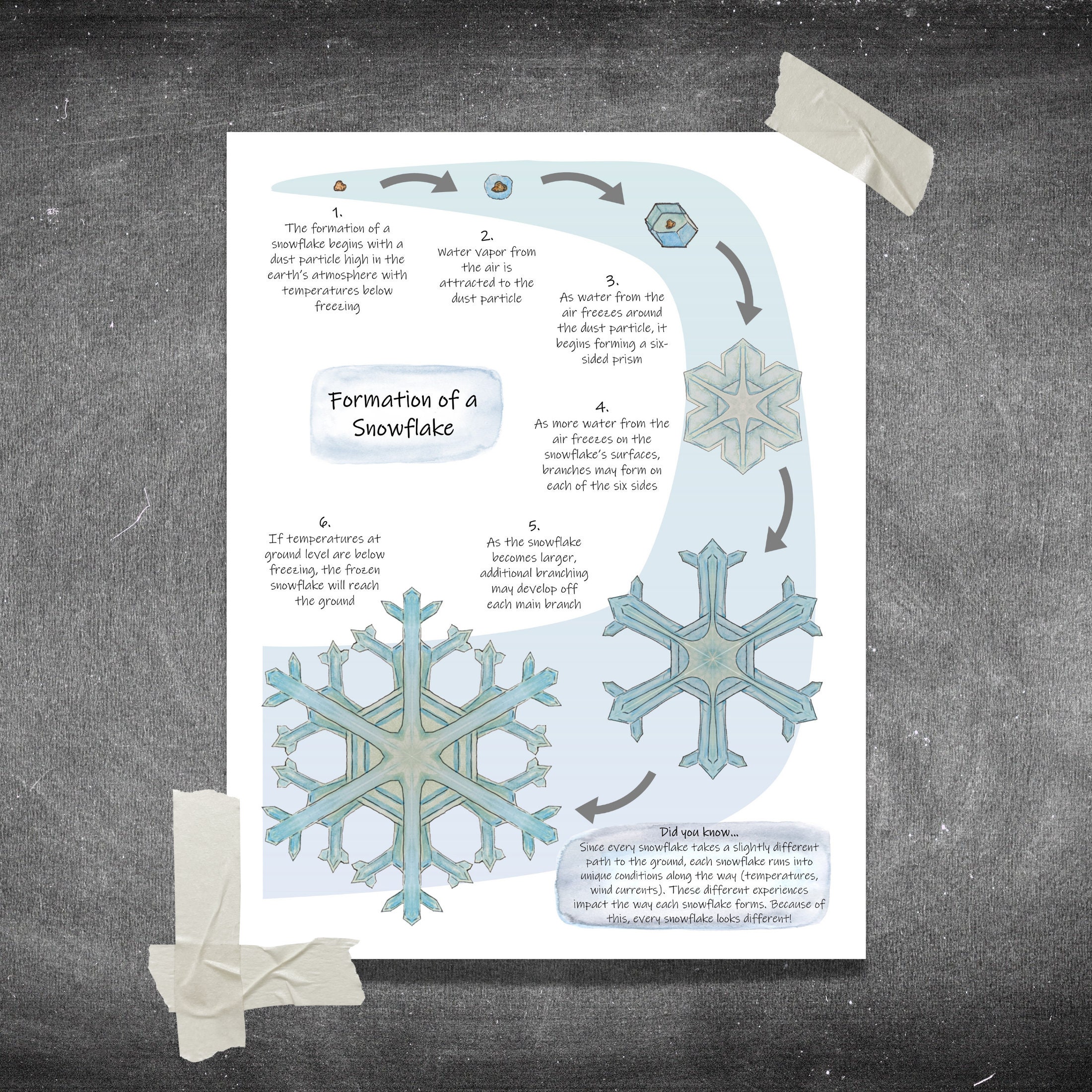 Snowflake Formation Poster: How Snowflakes Form Science - Etsy