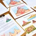 Volcano Mini Study: Earth Science Homeschool Curriculum (PDF) - Etsy