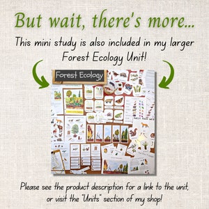 Symbiotic Relationships Mini Study: Ecology Homeschool Printables (PDF ...