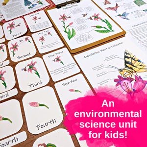 Pollination Unit: Activities, Lesson Plan, and Classroom Materials ...
