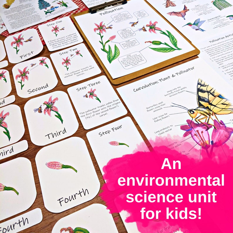 Pollination Unit: Activities, Lesson Plan, and Classroom Materials ...