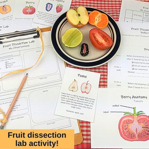Fun With Fruit Unit: a Botany Lesson Plan Plant Science, Nature Study ...