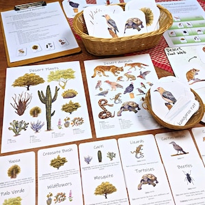 Desert Animals & Plants Mini Study: Handouts, Flashcards, Food Web ...