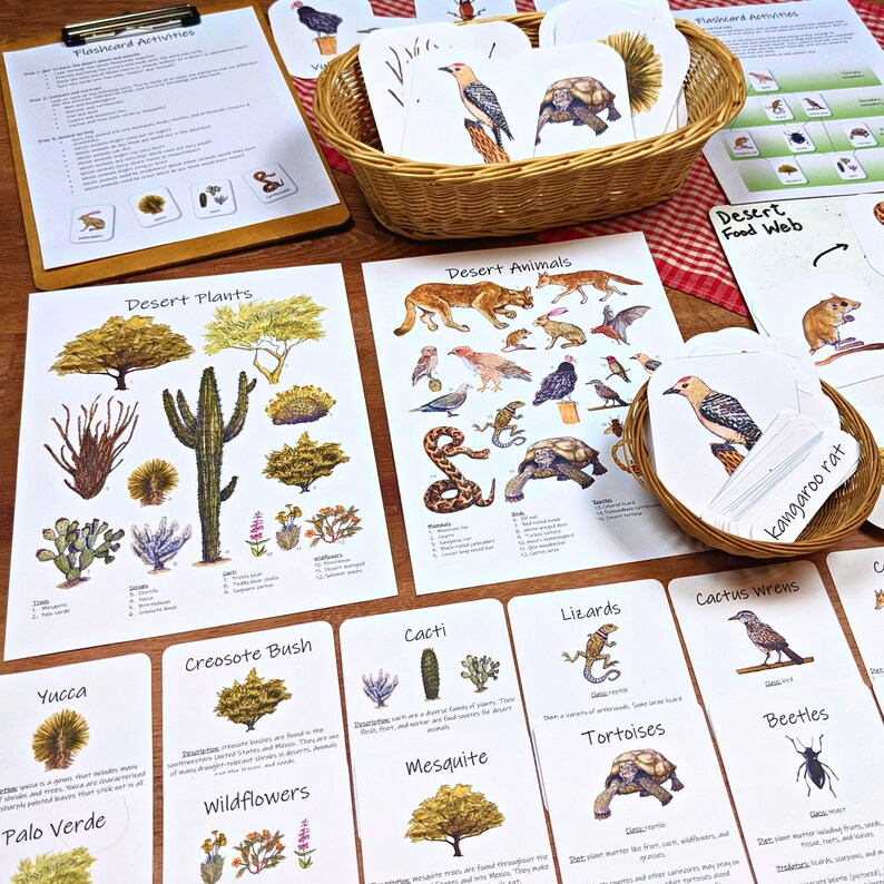 Desert Animals & Plants Mini Study: Handouts, Flashcards, Food Web ...