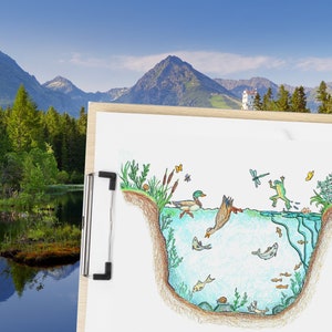 Pond Ecosystem: Classroom Poster, Preschool Decor, Homeschool Printable ...