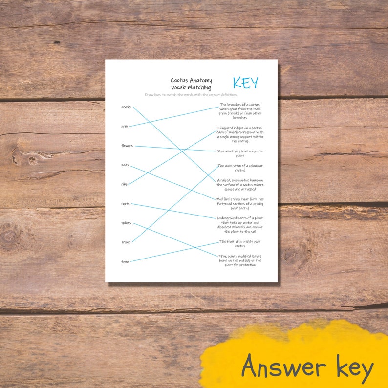 Cactus Anatomy Diagrams: Labeled and Unlabeled Printable Worksheets for ...