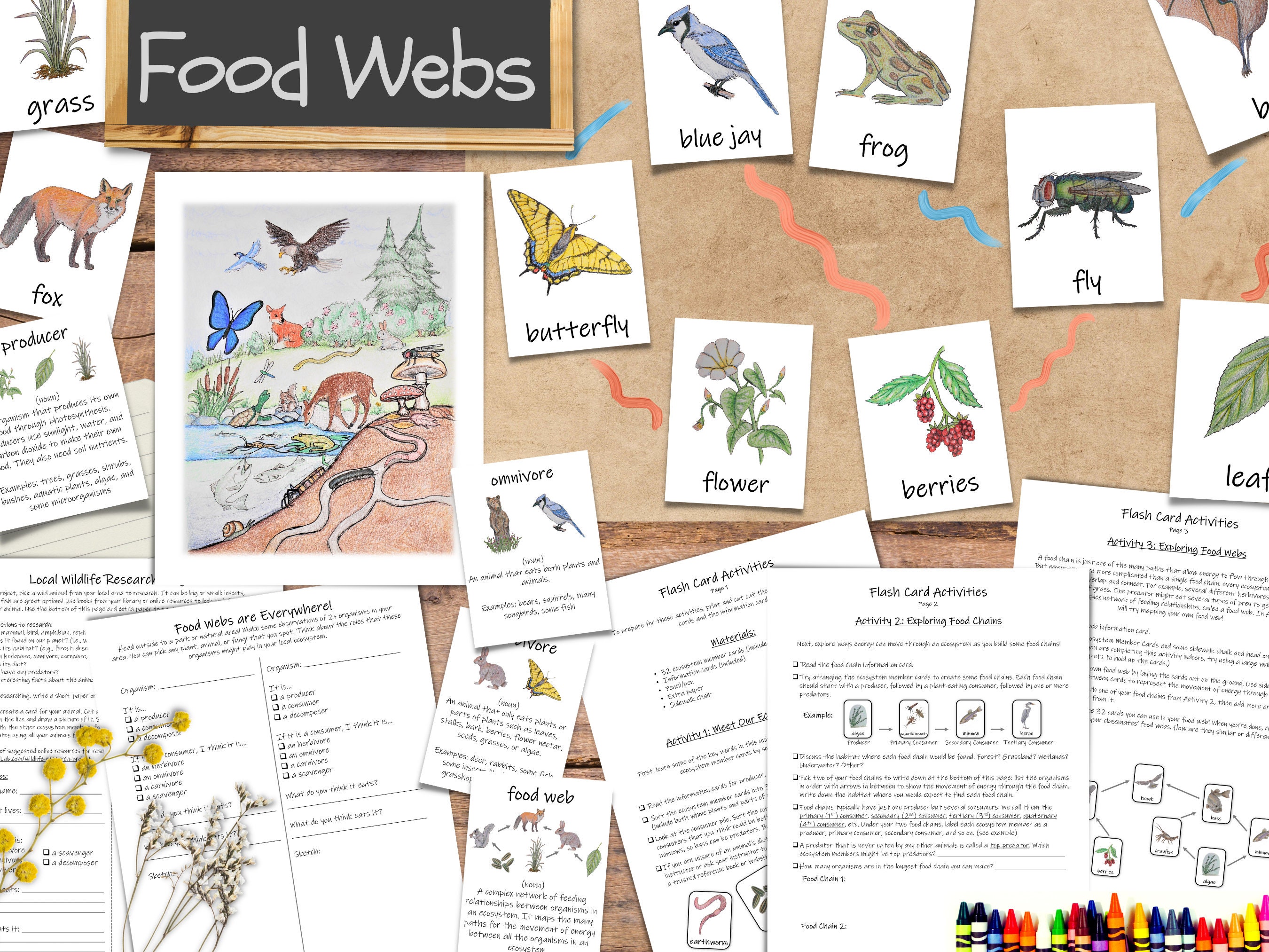 Food Chain Food Web Project