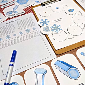 Snowflake Mini Unit Study: Formation & Types, Kids Activities (PDF) - Etsy