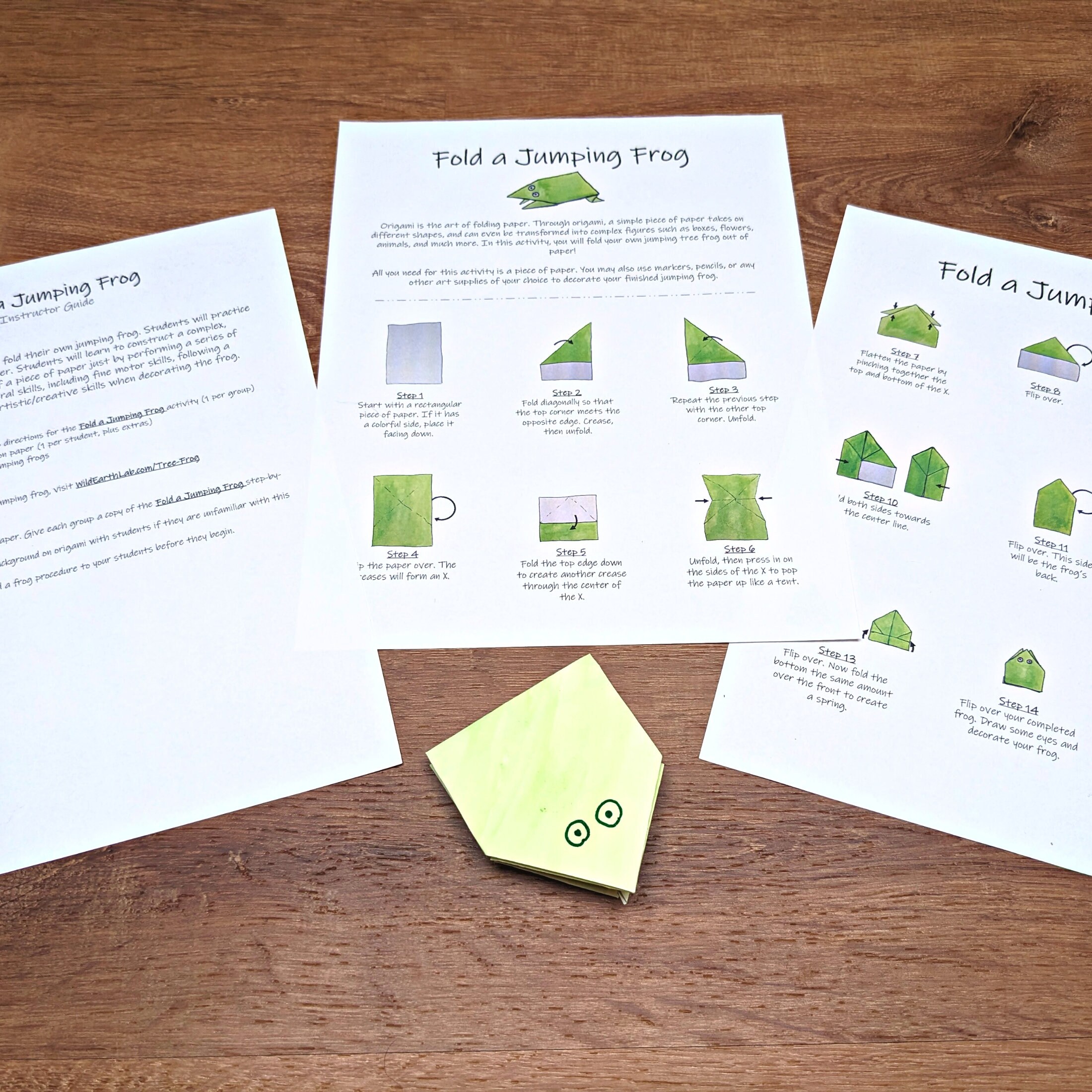 Origami Frogs & Engineering Mini Study: STEM Unit Study, Engineering ...