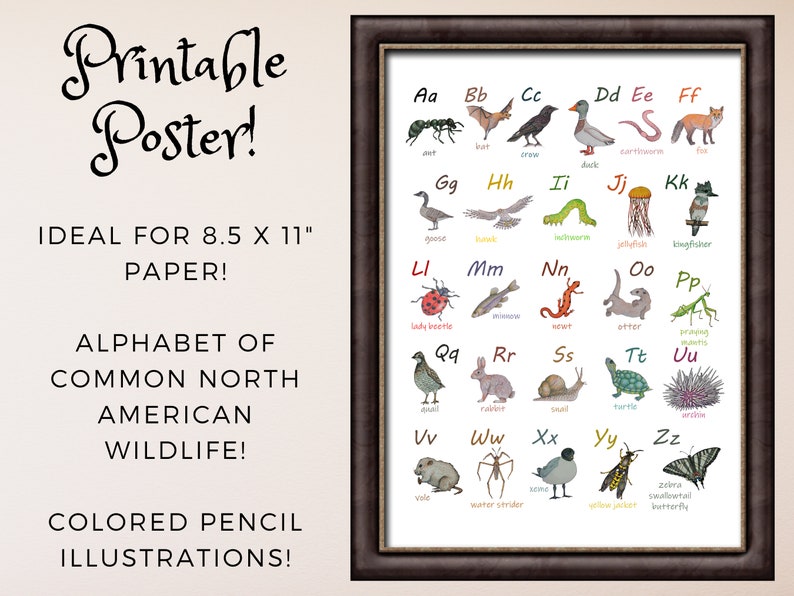 Wildlife Classroom Alphabet Poster: Nursery Decor, Alphabet Animal ...