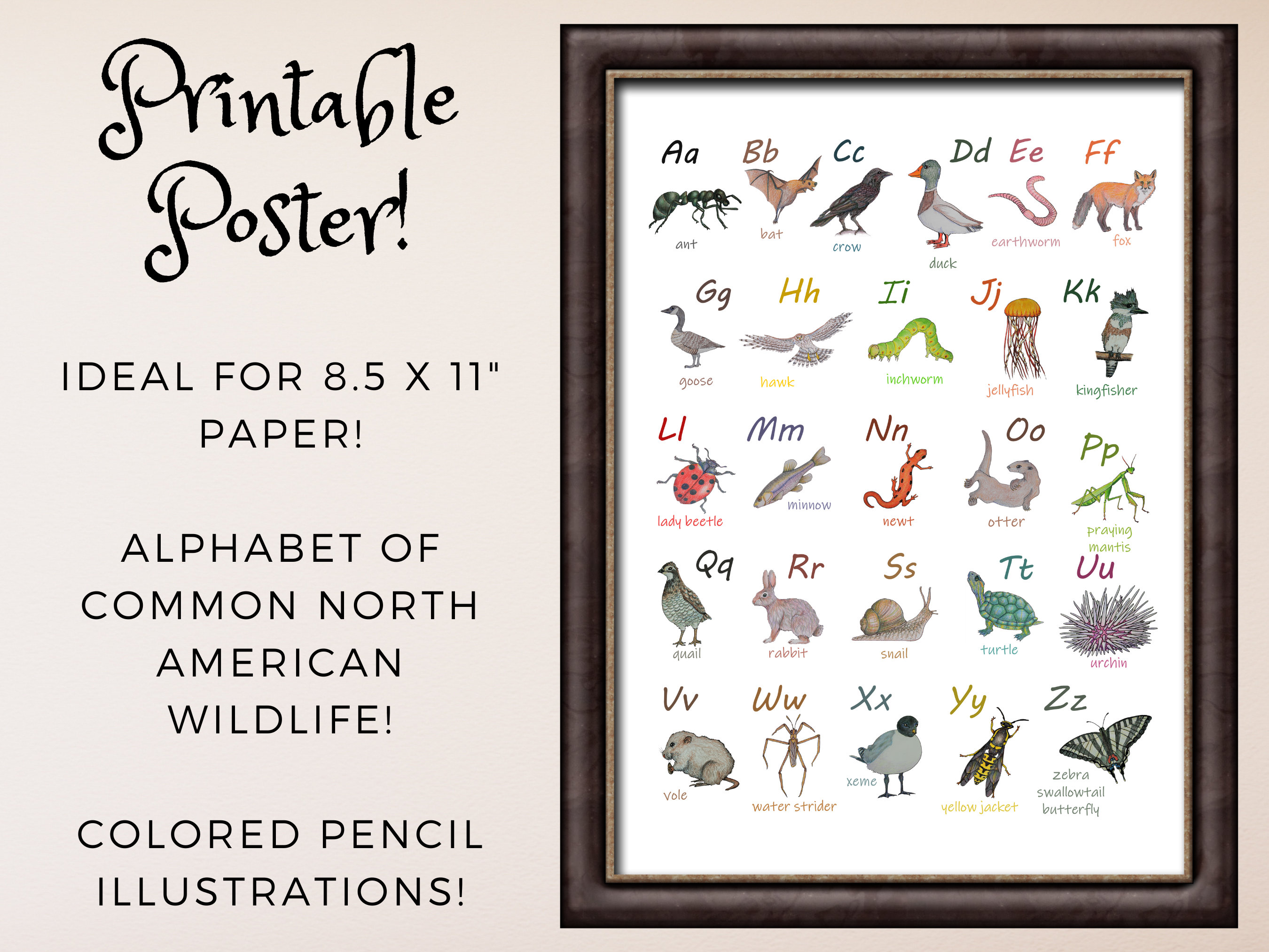 Wildlife Classroom Alphabet Poster: Nursery Decor, Alphabet Animal ...