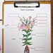 Plant Anatomy Mini Study: Botany Activity Pack (PDF Download) - Etsy