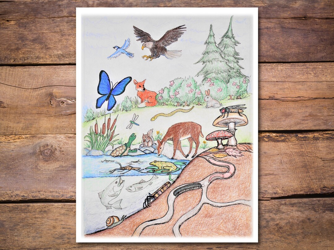Ecosystem Poster: Printable Classroom Decoration, Homeschool Decor ...