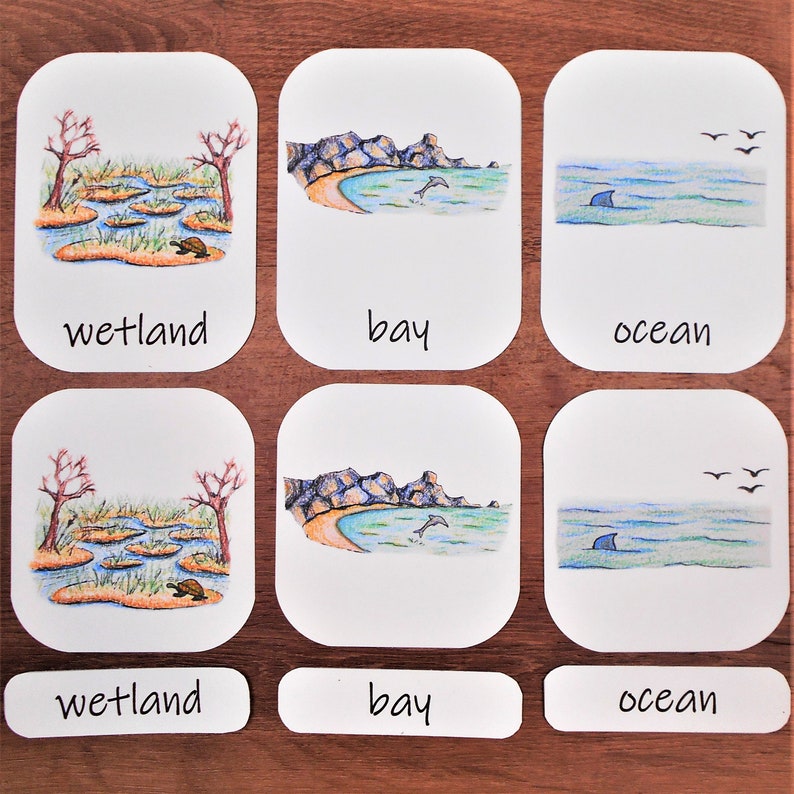 Water Bodies Three-part Cards: Printable Nomenclature Flashcards for ...