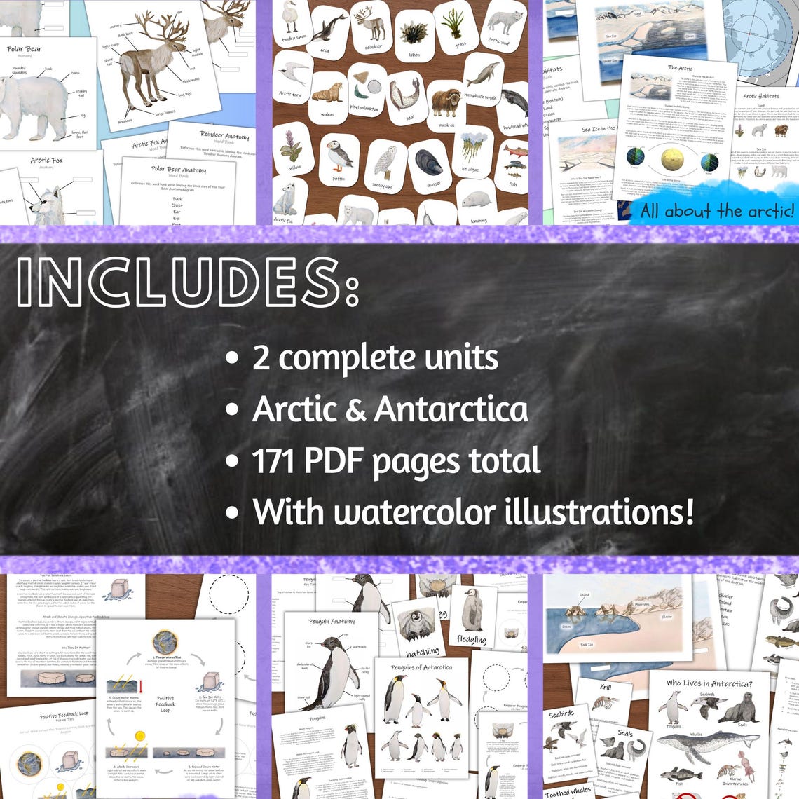 Arctic & Antarctica Polar Science Unit Bundle: Homeschool Printable ...