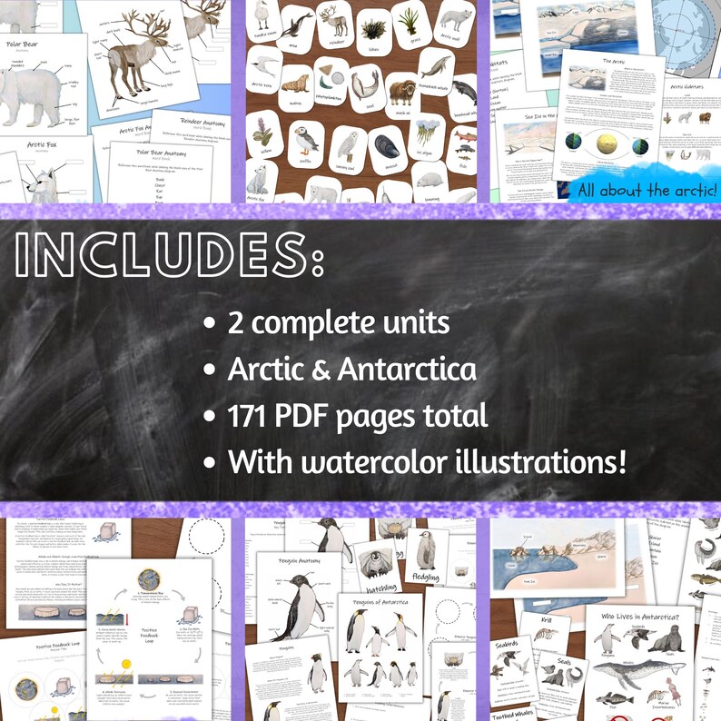 Arctic & Antarctica Polar Science Unit Bundle: Homeschool Printable ...