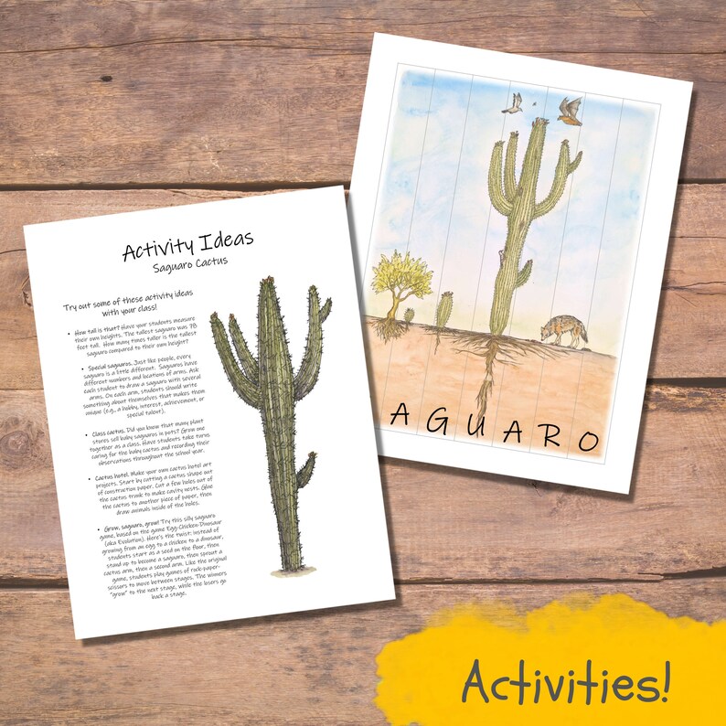 Saguaro Cactus: Classroom Set With Posters, Readings, & Activities ...