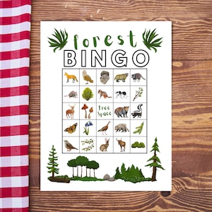 Forest Bingo: Printable Game for Camping, Forest School, Woodland ...