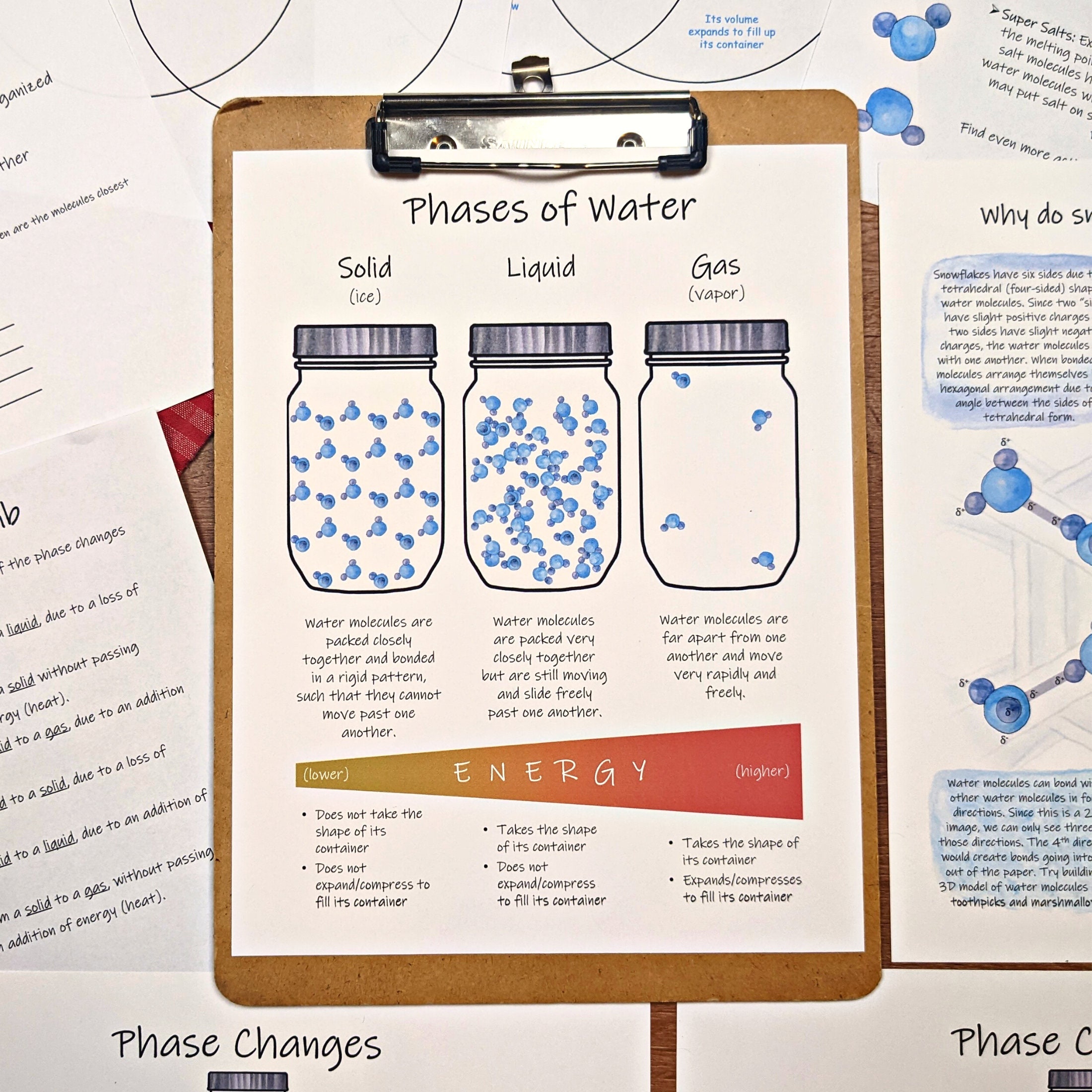 Phases of Water Mini Study: Science Lesson (PDF Download) - Etsy
