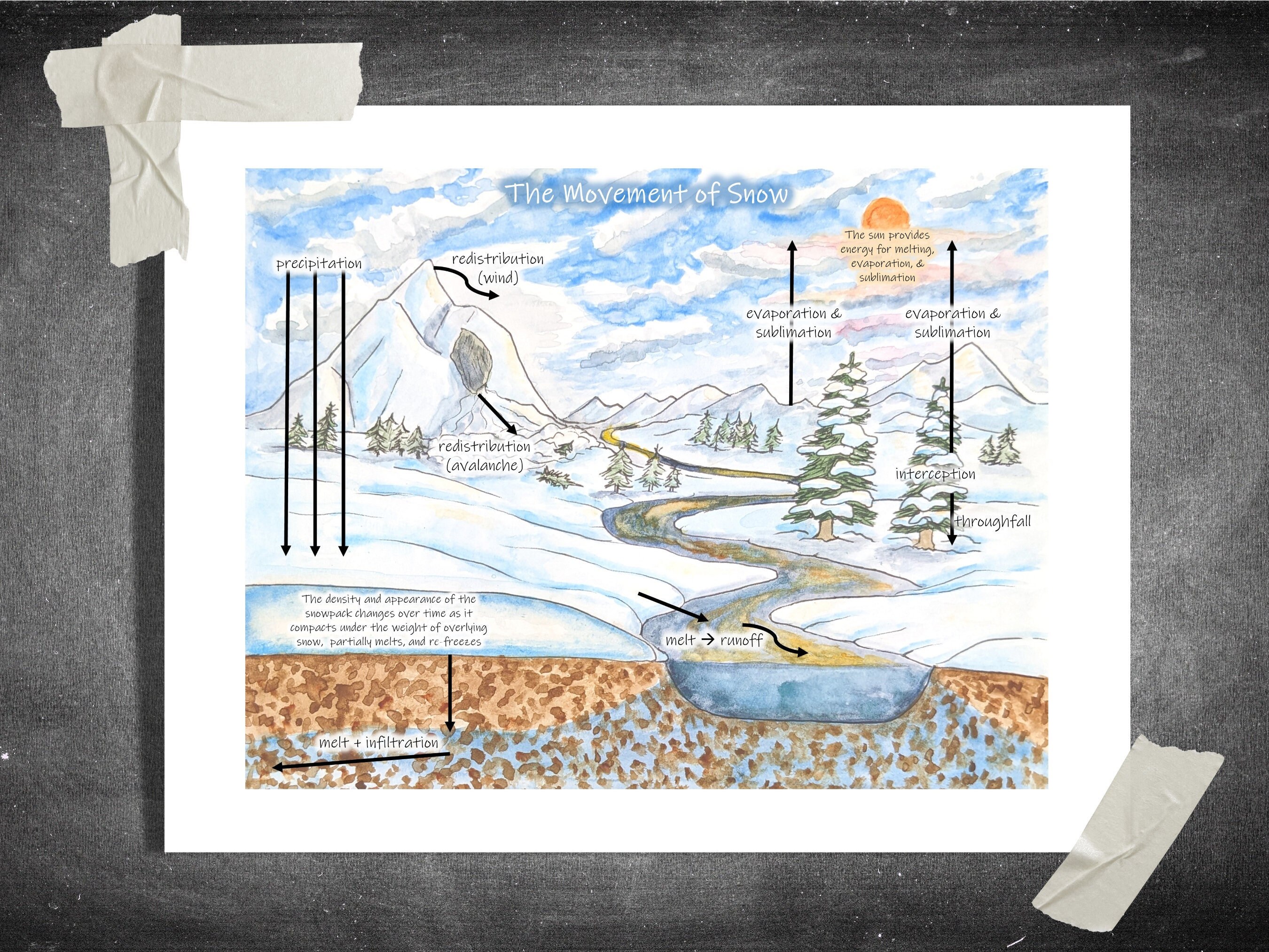 Movement of Snow Diagram: Winter Water Cycle Snow in the - Etsy