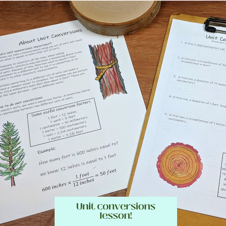 Math in the Forest Unit: Outdoor Applied Math Activities! Pi, Angles ...