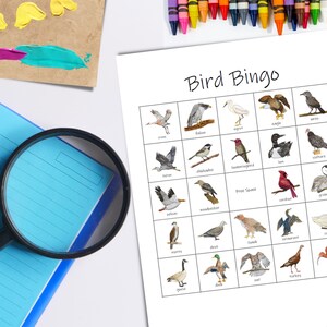 Bird Bingo Set: 20 Unique Bingo Cards With Calling Cards! Kids ...