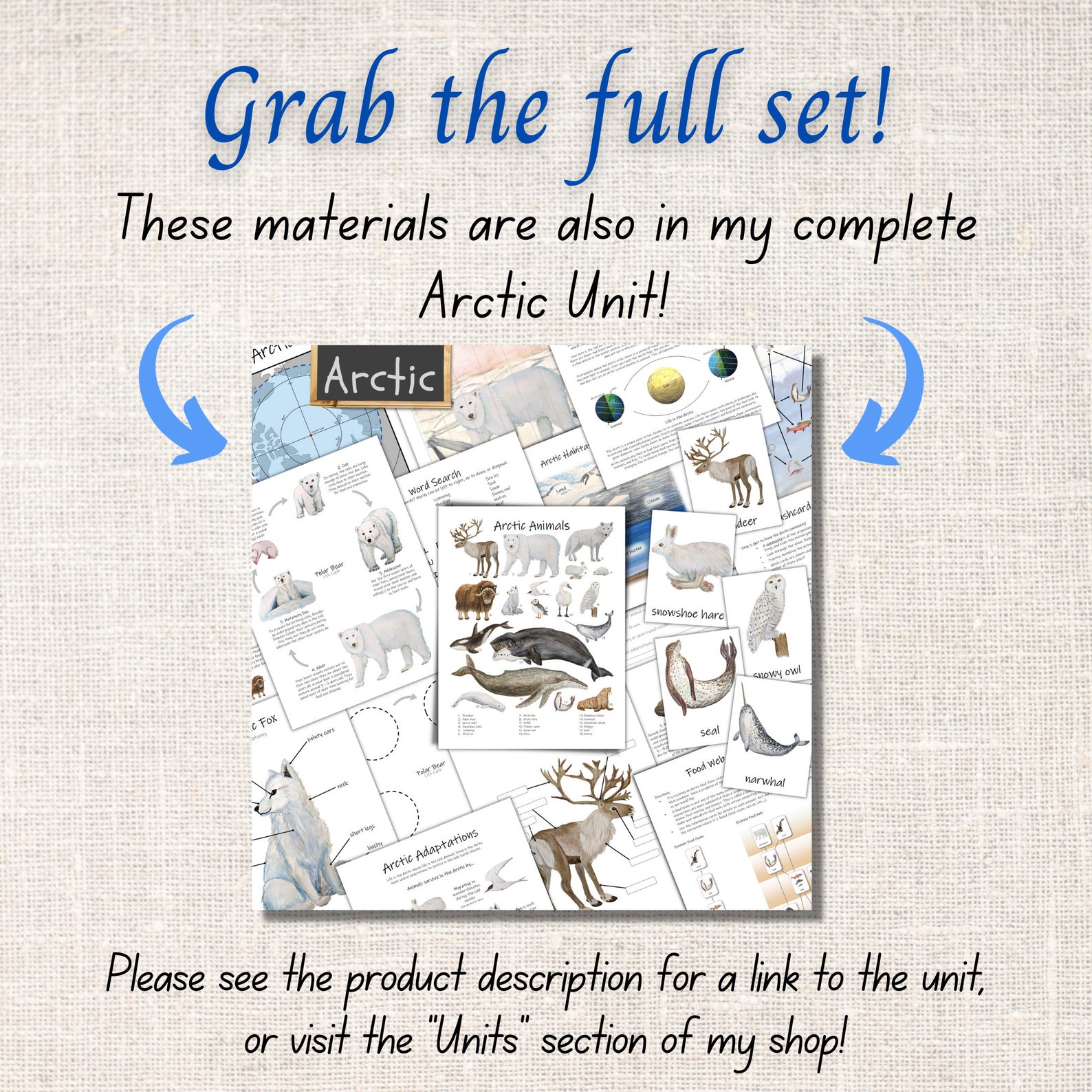 Arctic Food Web Mini Study: Homeschool Unit, Science Activities, Winter ...