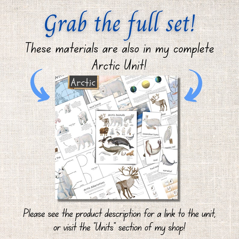 Arctic Food Web Mini Study: Homeschool Unit, Science Activities, Winter ...