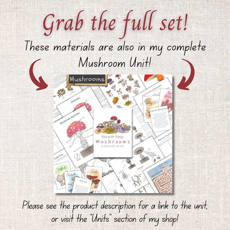 Mushroom Anatomy: Printable Labeled & Unlabeled Diagrams With Parts of ...