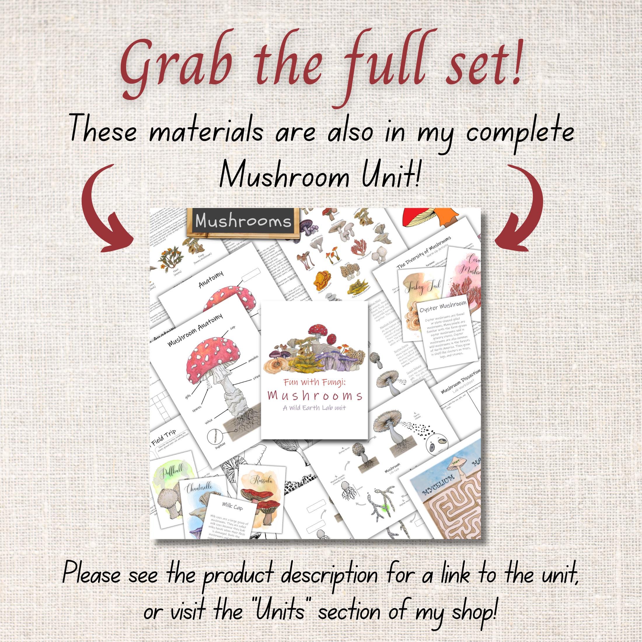 Mushroom Anatomy: Printable Labeled & Unlabeled Diagrams With Parts of ...