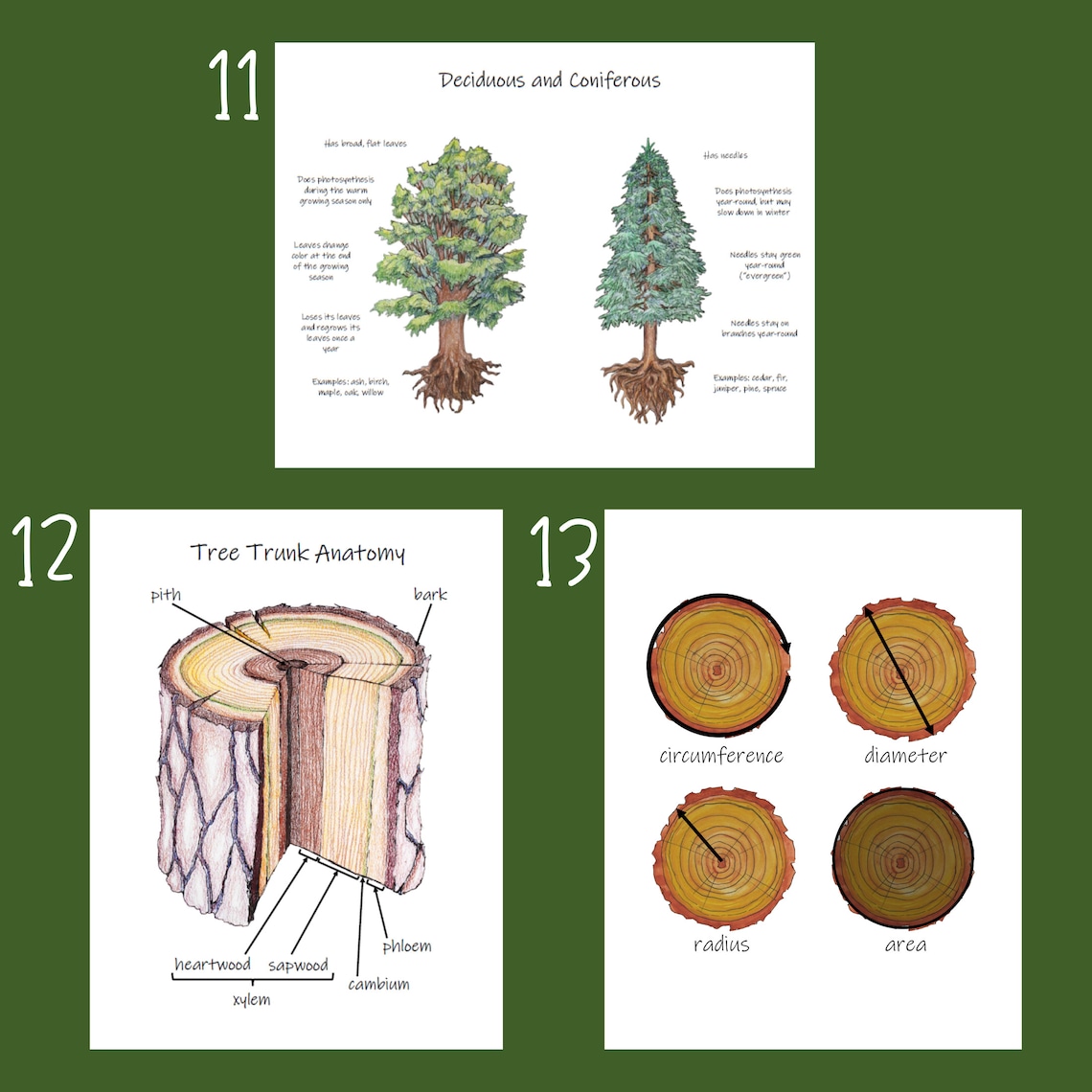Forest School Prints Bundle: 13 Printable Classroom Posters for Nature ...