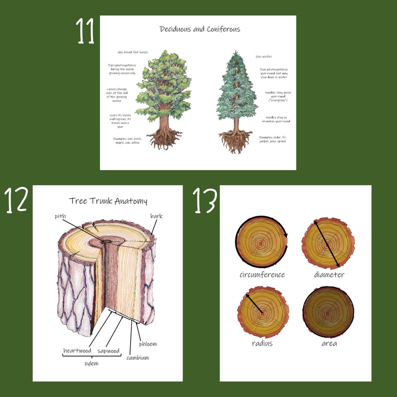 Forest School Prints Bundle: 13 Printable Classroom Posters - Etsy