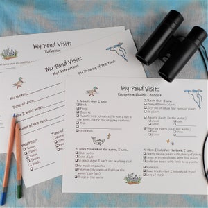 Pond Ecosystem Mini Study: Science Activities, Worksheets for Classroom ...