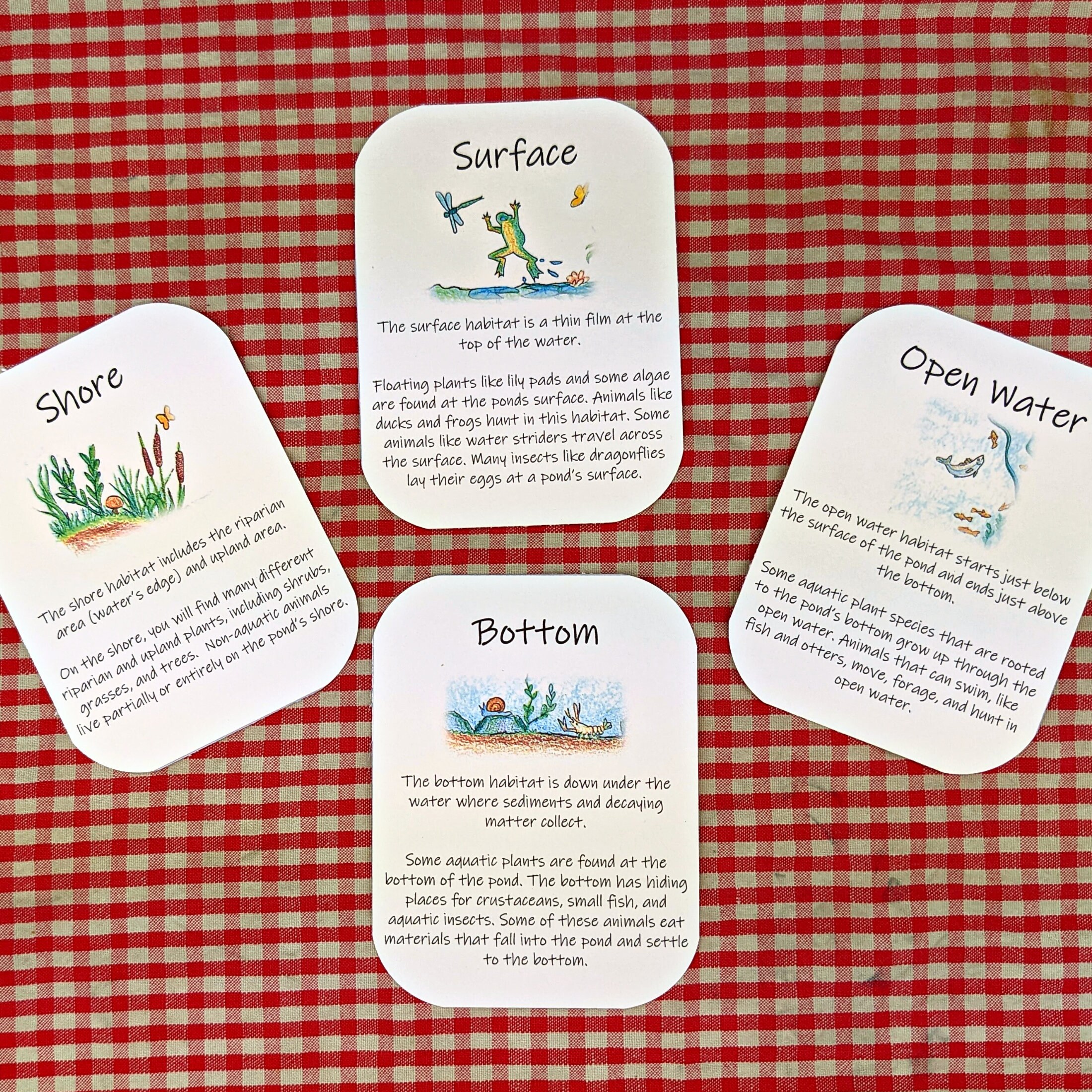 Pond Habitat Mini Study: Science Activity Pack Homeschool - Etsy